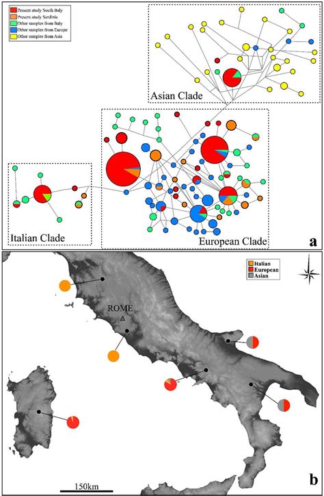 A Median Joining Network Based On The Joint Original And Published Download Scientific