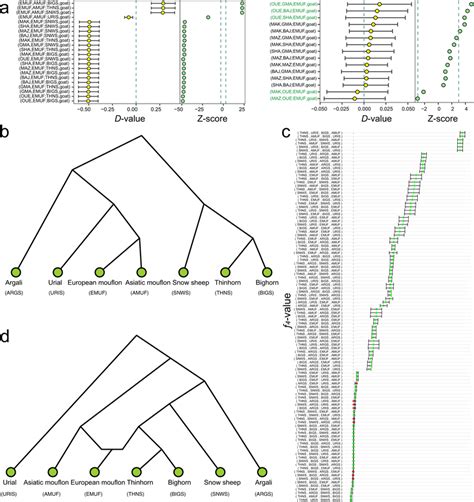 Admixture Graph Fitting For Introgression From The Pachyceriforms Into