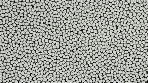 94000 Pebble Texture Pictures 94000 Pebble Texture Pictures