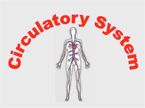 Science 6 Lesson Circulatory System Pptppt