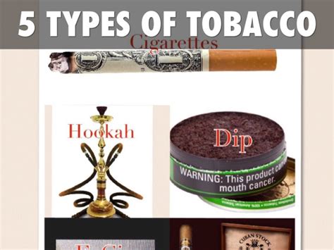 What Are The 4 Types Of Tobacco