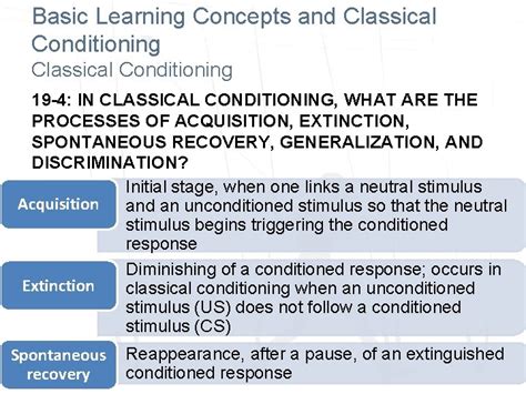 Module 19 Basic Learning Concepts And Classical Conditioning