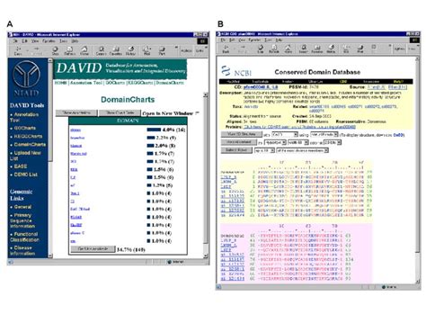 David Database For Annotation Visualization And Integrated Discovery