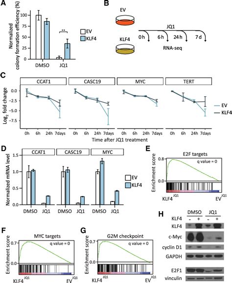 Figure 3 From Genetic Modifiers Of The BRD4 NUT Dependency Of NUT