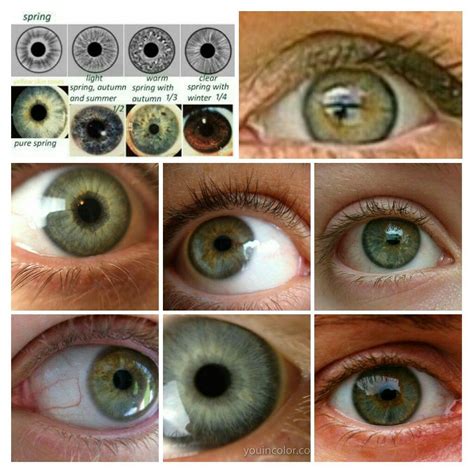 Seasonal Color Eye Pattern