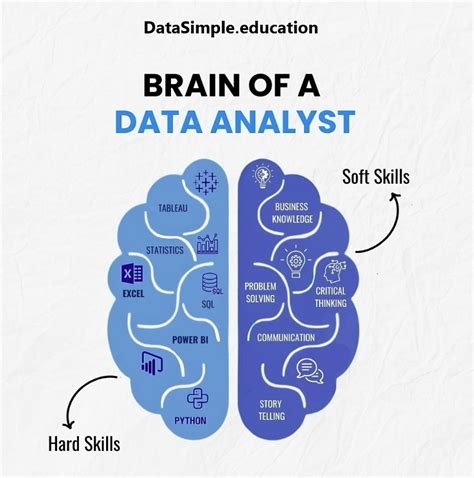 Data What Does It Take To Be A Data Analyst Decoding The Brain