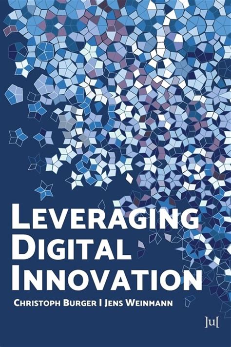 알라딘 Leveraging Digital Innovation Lessons For Implementation Paperback