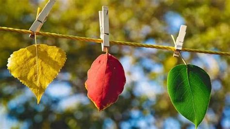 Python自动生成商品目录 知乎 Python自动生成商品目录 知乎