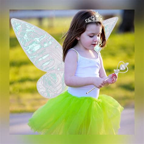 Fairy Princess Wings