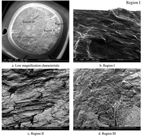 Sem Fracture Surface Of Notched Specimen B 09 Download Scientific Diagram