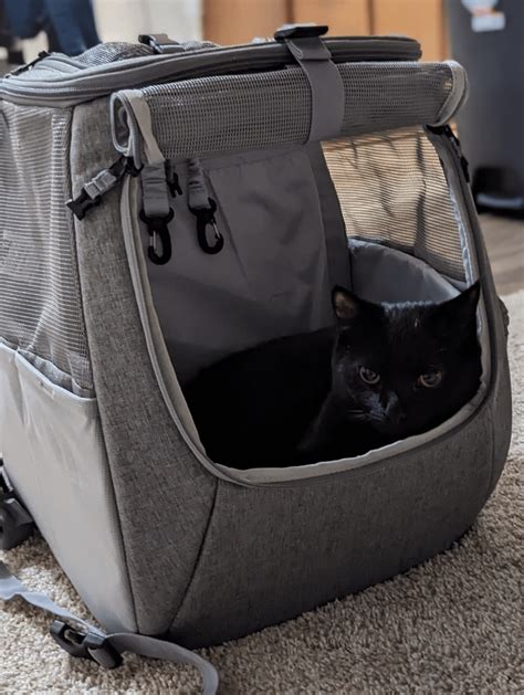 My Void 🖤 Rvoidcats