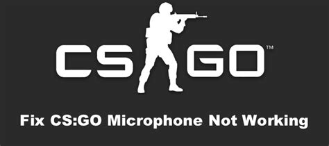 How To Fix CS GO Mic Not Working
