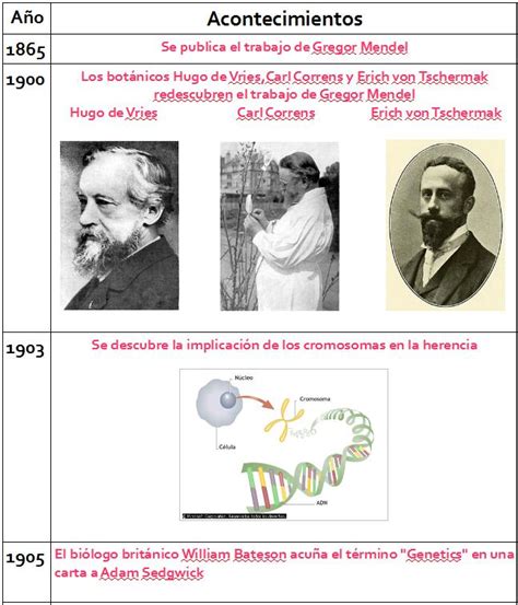Genética Importancia De La Genética Y Cronología De Descubrimientos