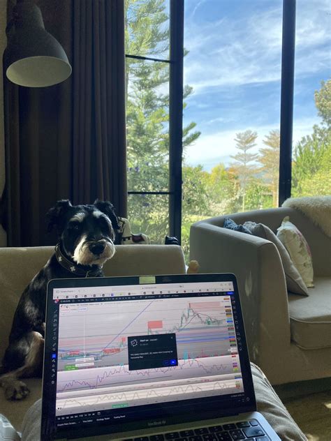 Ogmcx Stock Fund Price And Chart — Nasdaq Ogmcx — Tradingview