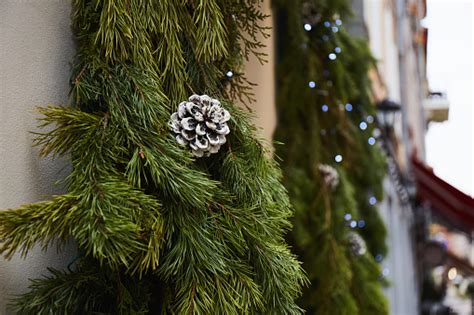 크리스마스 장식 화환 조명과 전나무 가지가 유럽 도시 거리에 있는 카페 창문에 있습니다 리보프 우크라이나 0명에 대한 스톡 사진 및 기타 이미지 Istock