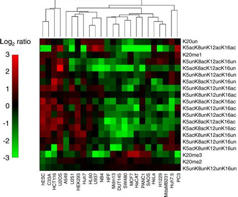 Proteomic Analysis Of Histone H4 Ptms Across Cell Lines Hierarchical