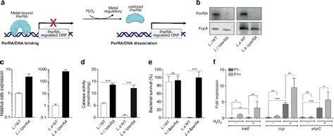 Figure 1 From Inter Species Transcriptomic Analysis Reveals A
