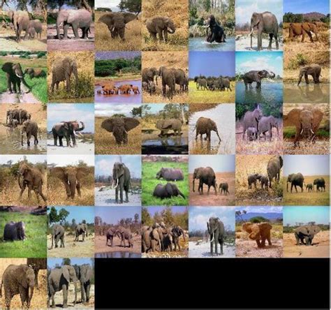 figure 2 4 from content based image retrieval system with regency based retrieved image library