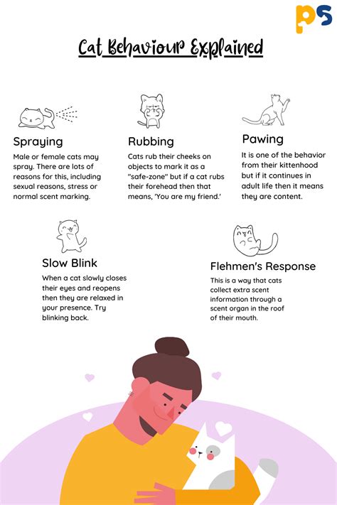 Cat Behaviour Explained