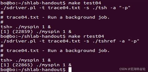 Csapp Shell Lab 实验报告shelllab Csdn博客