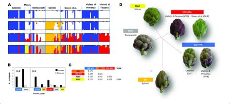 Structure Analysis A Individual To Population Assignment