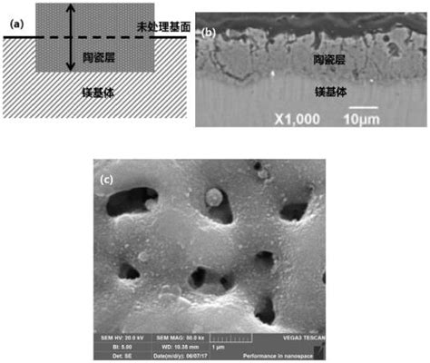 Surface Modification Process For Magnesium Alloy Eureka Patsnap