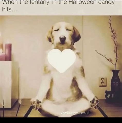 We Need More Of This Candy 😝