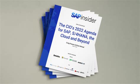 Common Sap Performance Challenges And How To Resolve Them Sapinsider