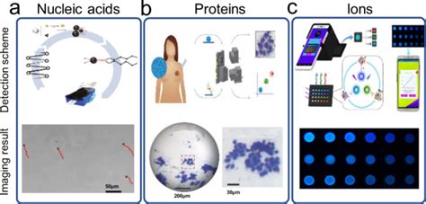 Smartphone Based Platforms Implementing Microfluidic Detection With Image Based Artificial
