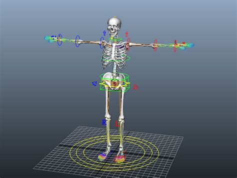 Gmod Player Model Skeleton Rig Oplparties