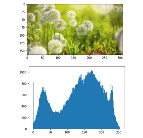 GitHub Bhavyashree Image Processing