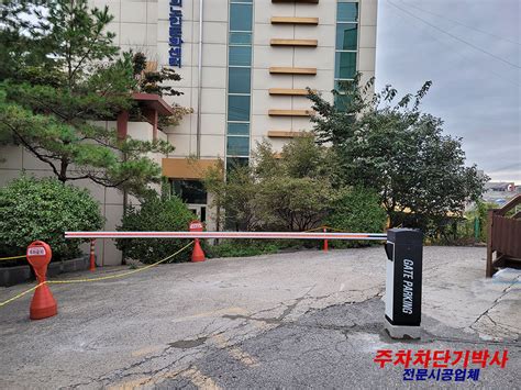 Daum 카페