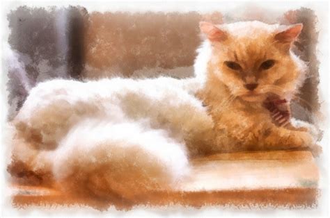 다양한 귀여운 고양이는 수채화 스타일 일러스트 인상파 그림을 포즈를 취합니다 갈색에 대한 스톡 벡터 아트 및 기타 이미지