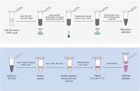 Ffpe Extraction And Sample Preparation Kits Covaris