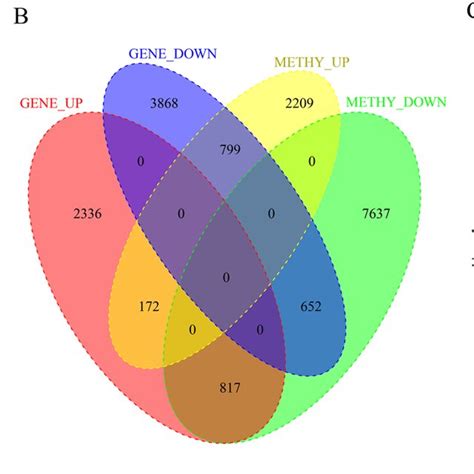 gaussian hierarchical clustering map of the top 100 gene with the most