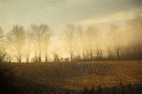 Matt Champlin Flickr