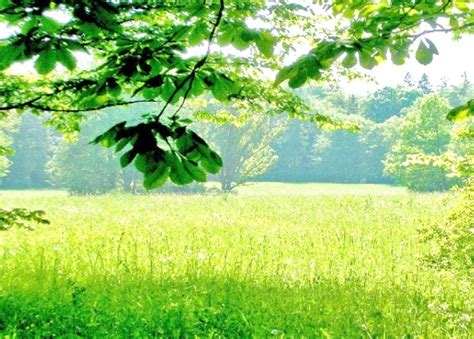 Купить земельный участок под ИЖС в Екатеринбурге продажа земли от собственника Земля 96