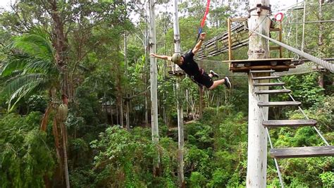TreeTop Challenge Mt Tamborine Scenic Rim
