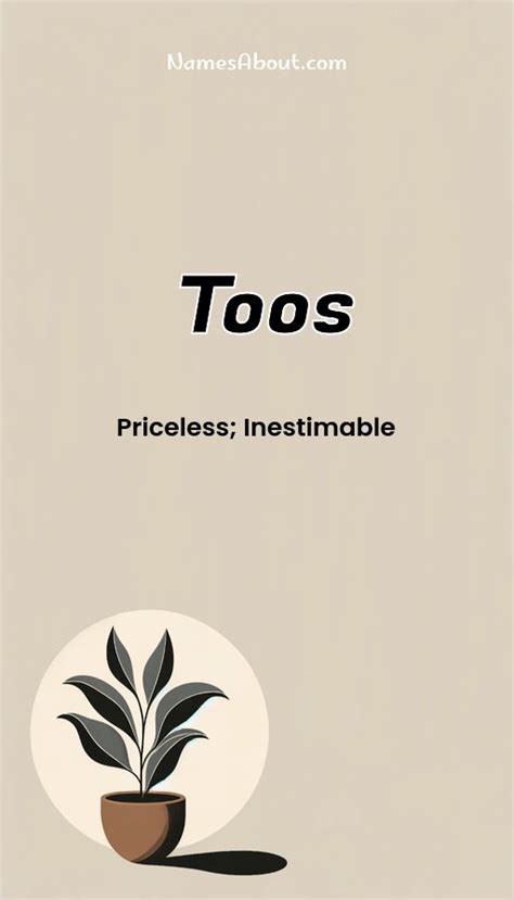 Toos Name Meaning And Origins Nicknames Sibling Ideas