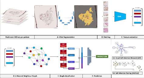 Figure 2 From Instance Learning Pipeline For Histopathology Whole Slide Images Semantic Scholar