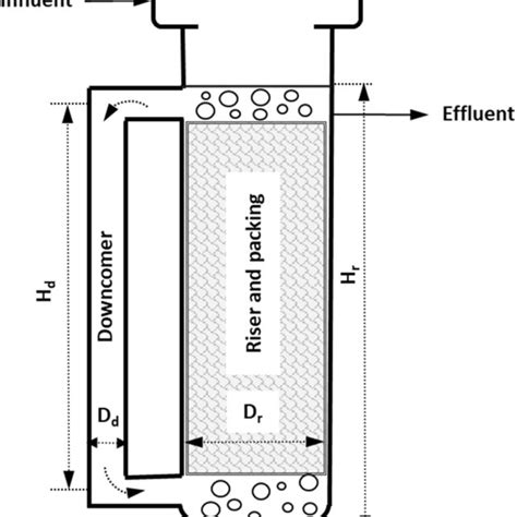 Schematic Of A Circulating Packed Bed Bioreactor Dimensions Of Riser
