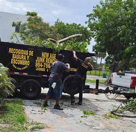 Certified Tree Trimming Services In Hollywood FL New Age Junk Removal