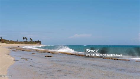열대 해변 청록색 바닷물 파도 노란 모래 녹색 야자수 맑은 푸른 하늘 흰 구름 아름다운 바다 풍경 여름 휴가 이국적인 섬에서의 휴가 여행 0명에 대한 스톡 사진 및 기타