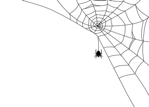 Black Spider And Web Scary Spiderweb Of Halloween Vector