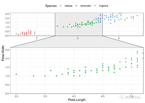 R语言科研绘图实战 地表最强最全ggplot2基础绘图教程含代码和案例r语言 Ggplot画图画布设置 Csdn博客