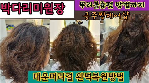 부산미용실에서 셋팅펌으로 태운머리 울산미용실 공주짱헤어샵에서 탄머리 녹은머리복구전문 박다리미원장이 결복구과정 모두공개합니다 뿌리볼륨펌 확실히 살리는법도 알려드립니다 탄머리