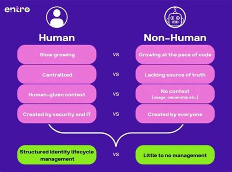 Understanding Non Human Identities