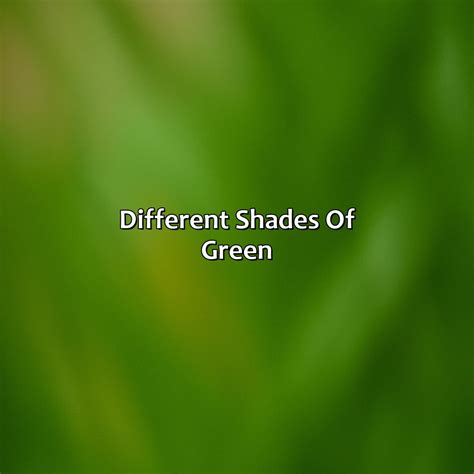 Different Shades Of Green Colorscombo Com Different Shades Of Green Colorscombo Com