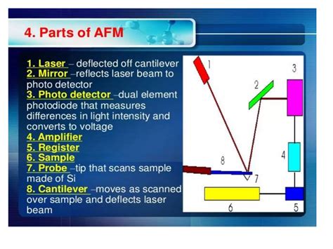 Atomic Force Microscopy Ppt