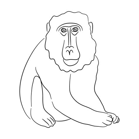 Premium Vector Sketch Drawing Of A Baboon Isolated On A White Background Vector Illustration